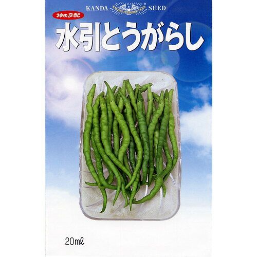 メール便で10袋まで同梱できます。 種子と責任種子は努めて純良なものをご用意しておりますが、商品の性質上100%の純度や発芽は望めません。商品の包装等に記載のある、発芽試験結果を満たした商品をお届けいたします。発芽は播種後の条件により結果が...