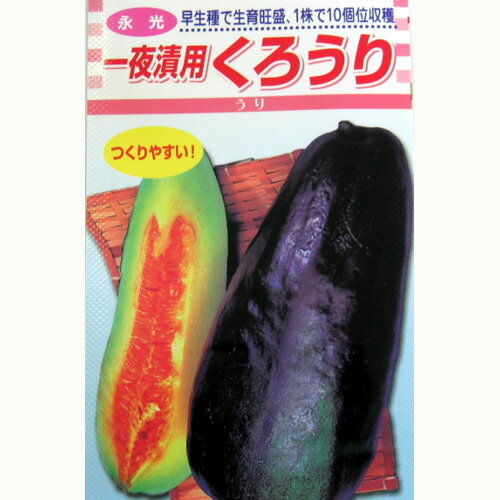 メール便で10袋まで同梱できます。 種子と責任種子は努めて純良なものをご用意しておりますが、商品の性質上100%の純度や発芽は望めません。商品の包装等に記載のある、発芽試験結果を満たした商品をお届けいたします。発芽は播種後の条件により結果が...