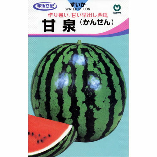 メール便で10袋まで同梱できます。 種子と責任種子は努めて純良なものをご用意しておりますが、商品の性質上100%の純度や発芽は望めません。商品の包装等に記載のある、発芽試験結果を満たした商品をお届けいたします。発芽は播種後の条件により結果が...