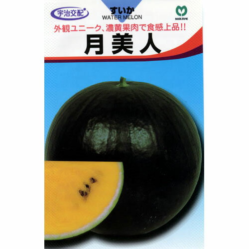 メール便で10袋まで同梱できます。 種子と責任種子は努めて純良なものをご用意しておりますが、商品の性質上100%の純度や発芽は望めません。商品の包装等に記載のある、発芽試験結果を満たした商品をお届けいたします。発芽は播種後の条件により結果が...