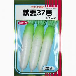 メール便で10袋まで同梱できます。 種子と責任種子は努めて純良なものをご用意しておりますが、商品の性質上100%の純度や発芽は望めません。商品の包装等に記載のある、発芽試験結果を満たした商品をお届けいたします。発芽は播種後の条件により結果が...