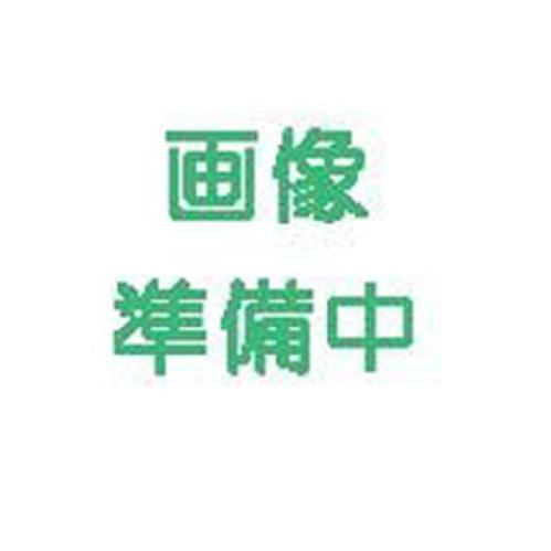 この商品はメール便不可です。宅配便でのお届けとなります。種子と責任種子は努めて純良なものをご用意しておりますが、商品の性質上100%の純度や発芽は望めません。商品の包装等に記載のある、発芽試験結果を満たした商品をお届けいたします。発芽は播種...