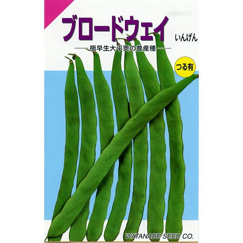 メール便で10袋まで同梱できます。 種子と責任種子は努めて純良なものをご用意しておりますが、商品の性質上100%の純度や発芽は望めません。商品の包装等に記載のある、発芽試験結果を満たした商品をお届けいたします。発芽は播種後の条件により結果が...