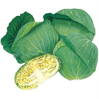 メール便で10袋まで同梱できます。 種子と責任種子は努めて純良なものをご用意しておりますが、商品の性質上100%の純度や発芽は望めません。商品の包装等に記載のある、発芽試験結果を満たした商品をお届けいたします。発芽は播種後の条件により結果が...