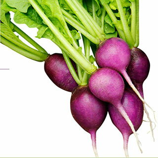 メール便で10袋まで同梱できます。 種子と責任種子は努めて純良なものをご用意しておりますが、商品の性質上100%の純度や発芽は望めません。商品の包装等に記載のある、発芽試験結果を満たした商品をお届けいたします。発芽は播種後の条件により結果が...