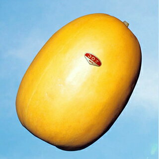 まとめ買いについて：メール便で10袋まで同梱できます。種子と責任種子は努めて純良なものをご用意しておりますが、商品の性質上100%の純度や発芽は望めません。商品の包装等に記載のある、発芽試験結果を満たした商品をお届けいたします。発芽は播種後...