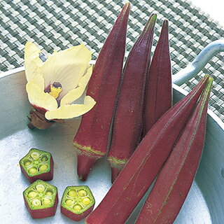 メール便で10袋まで同梱できます。 種子と責任種子は努めて純良なものをご用意しておりますが、商品の性質上100%の純度や発芽は望めません。商品の包装等に記載のある、発芽試験結果を満たした商品をお届けいたします。発芽は播種後の条件により結果が...