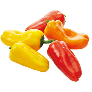 メール便で10袋まで同梱できます。 種子と責任種子は努めて純良なものをご用意しておりますが、商品の性質上100%の純度や発芽は望めません。商品の包装等に記載のある、発芽試験結果を満たした商品をお届けいたします。発芽は播種後の条件により結果が...