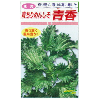 メール便で10袋まで同梱できます。 種子と責任種子は努めて純良なものをご用意しておりますが、商品の性質上100%の純度や発芽は望めません。商品の包装等に記載のある、発芽試験結果を満たした商品をお届けいたします。発芽は播種後の条件により結果が...