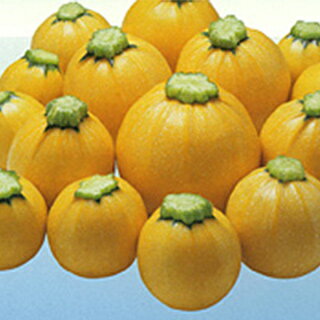 メール便で10袋まで同梱できます。 種子と責任種子は努めて純良なものをご用意しておりますが、商品の性質上100%の純度や発芽は望めません。商品の包装等に記載のある、発芽試験結果を満たした商品をお届けいたします。発芽は播種後の条件により結果が...