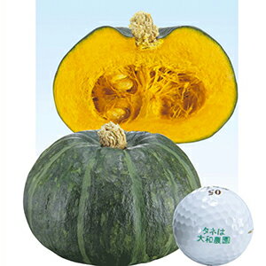 まとめ買いについて：メール便で10袋まで同梱できます。種子と責任種子は努めて純良なものをご用意しておりますが、商品の性質上100%の純度や発芽は望めません。商品の包装等に記載のある、発芽試験結果を満たした商品をお届けいたします。発芽は播種後...