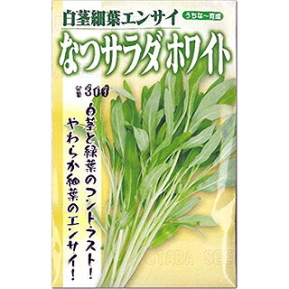 まとめ買いについて：メール便で10袋まで同梱できます。種子と責任種子は努めて純良なものをご用意しておりますが、商品の性質上100%の純度や発芽は望めません。商品の包装等に記載のある、発芽試験結果を満たした商品をお届けいたします。発芽は播種後...