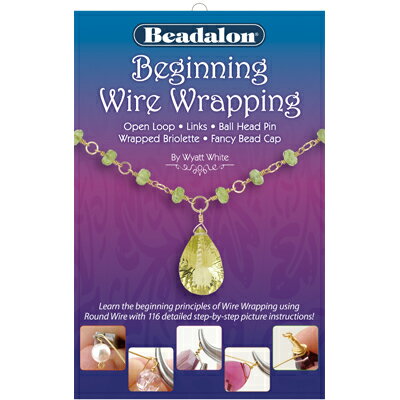 めがね留め等ピン使いをメインとしたワイヤーラッピングの手法を、110以上もの大きな写真と共にご紹介しています。 ※テキストは英語になります。翻訳はつきません。　