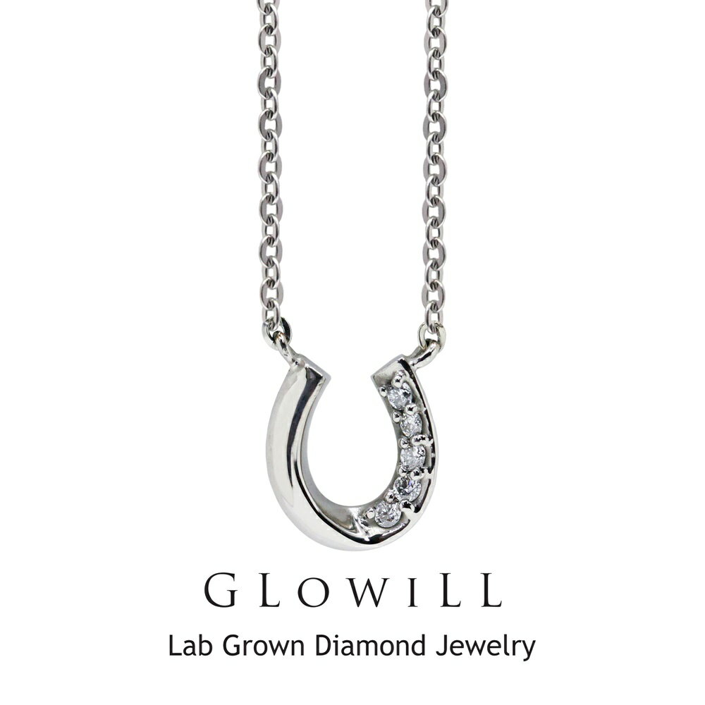 グローウィル ネックレス レディース シンプル おしゃれ プレゼント 女性 誕生日 ステンレス ラボグロウン ダイヤモンド チェーンネックレス シルバー 結婚祝い 結婚記念日 母 妻 彼女 女友達 ギフト ★【GLOWILL〜Labo&nb...