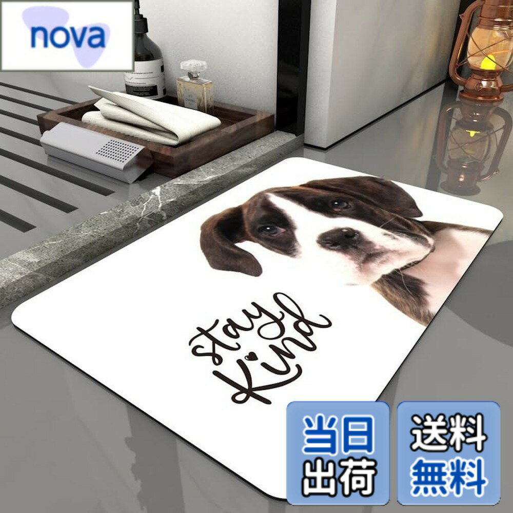 商品情報商品の説明主な仕様 サイズ（約）： 40cmx60cmx4mm、50cmx70cmx4mmbrデザイン（10柄）：A.Homesick、B.moderngray、C.Relaxed、D.WELCOME、E.HAPPYTIME、F.S...