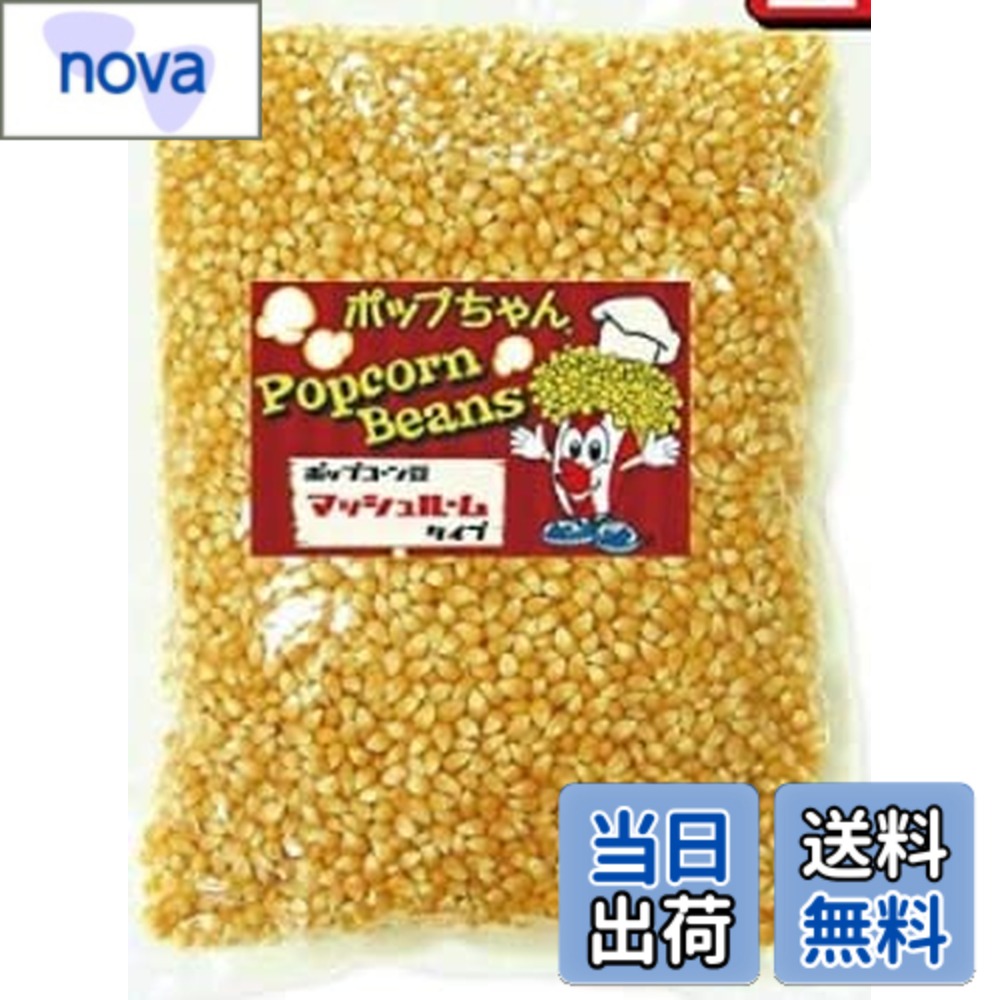 商品情報商品の説明ファーイーストサービス株式会社 ポップコーン豆マッシュルームタイプ 1kg ( 約50人分 )主な仕様