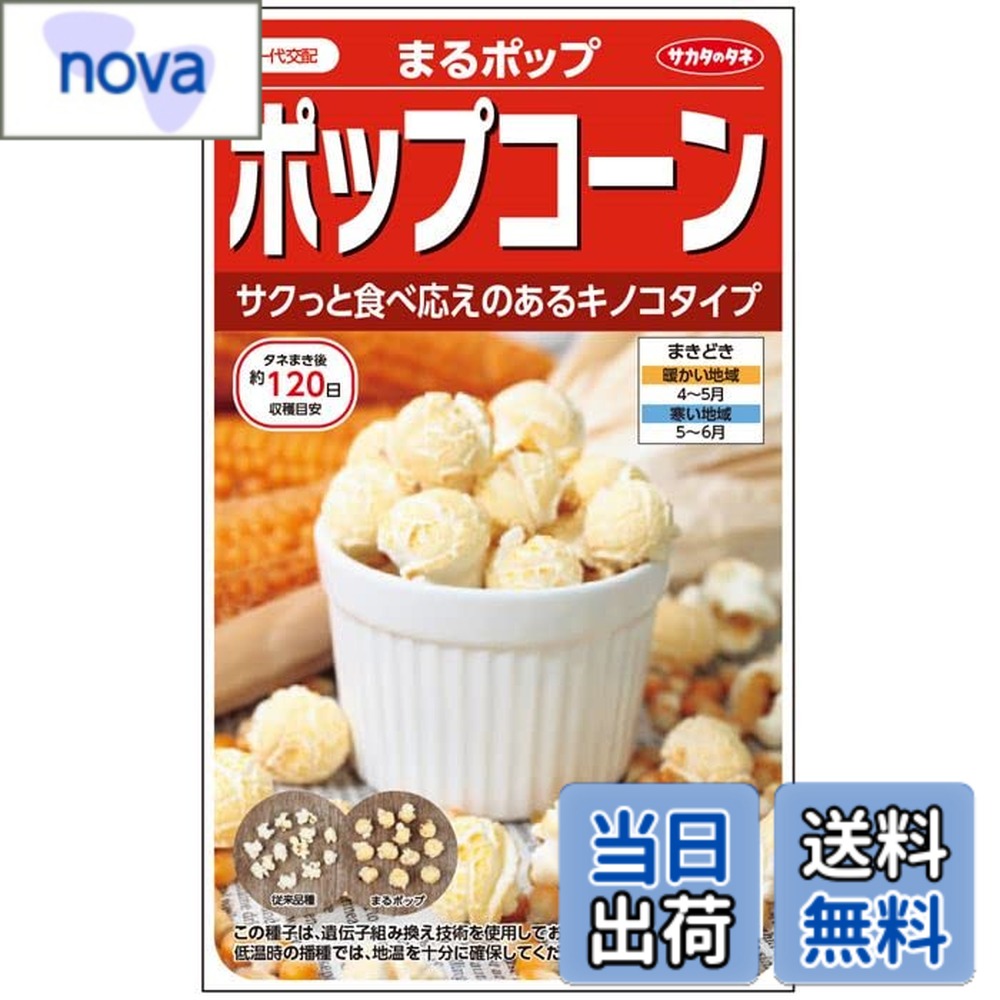 商品情報商品の説明商品紹介 種 原材料・成分 種主な仕様 形がきれいで 味付けしやすい！