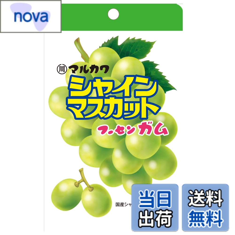 商品情報商品の説明商品紹介 シャインマスカット果汁を3％配合した芳醇な味わいのフーセンガムです。プチ贅沢な大人駄菓子です。 原材料・成分 砂糖(国内製造)、ぶどう糖、水飴、濃縮マスカット果汁、マスカットピューレ、でん粉/ガムベース、酸味料、...