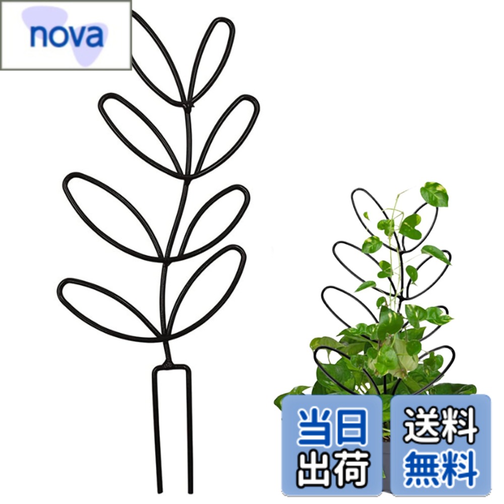 商品情報商品の説明商品の説明 セット内容：植物支柱1セット、サイズ：約14.5*31.5cm。（寸法は人工測定で誤差がある場合がありますのでご了承ください。）カラー：ブラック。 安全警告 慎重に取り扱ってください。尖った先端は傷つけます。地...