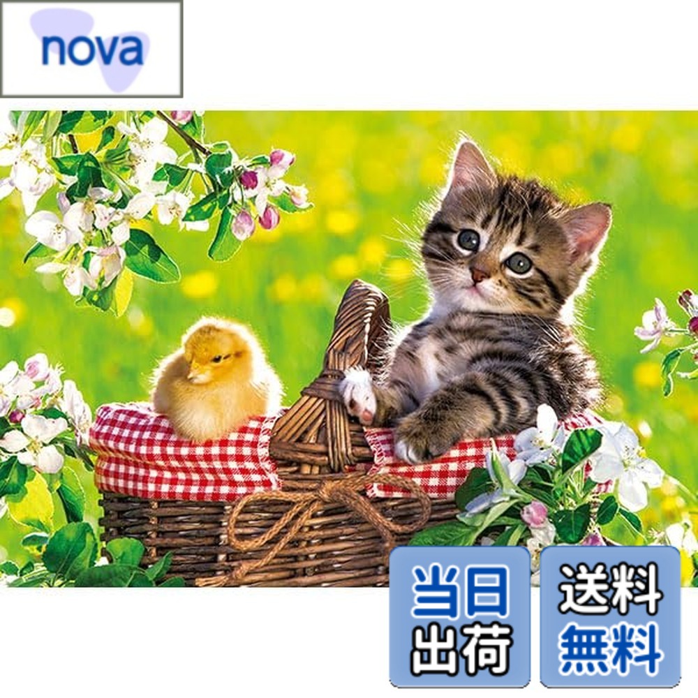 商品情報 商品の説明 商品紹介 大きめピースで組みやすい88ピースシリーズ『ニューチャレンジパズル』が登場! ●初心者でも安心 ●適度な難易度 ●大人も楽しめる絵柄 メーカー名『アップルワン』にちなんだ、可愛くてヒントにもなるリンゴピース1...
