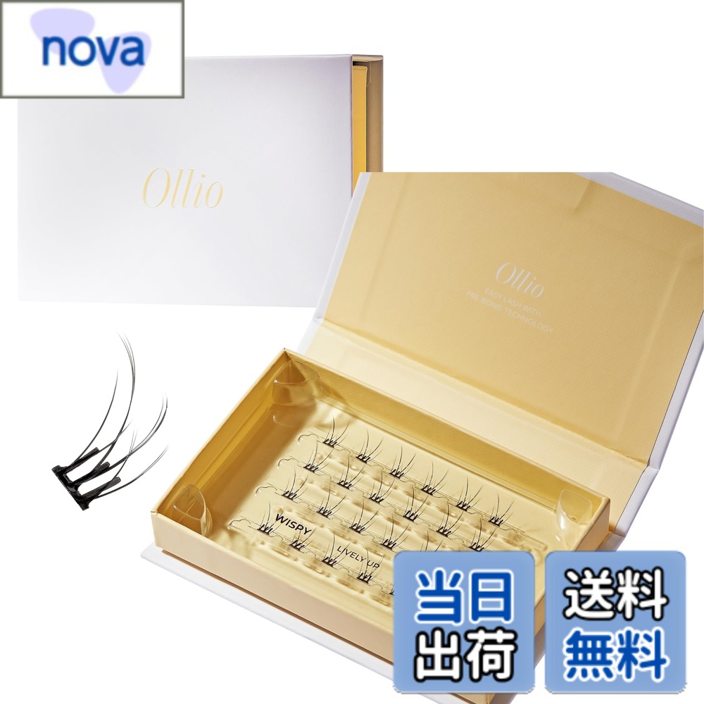 商品情報商品の説明主な仕様 魅力的な目元が完成！