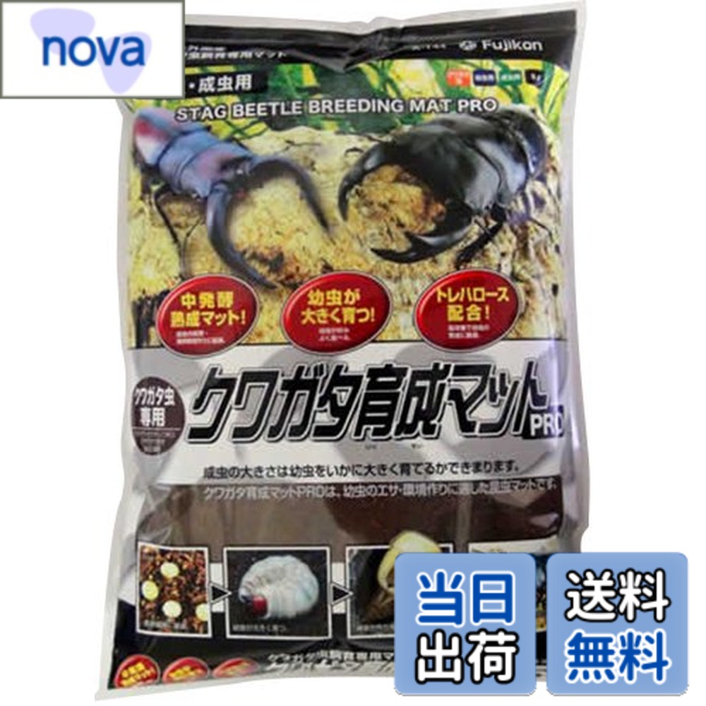 商品情報商品の説明商品紹介 クワガタ虫幼虫の育成専用に作られた発酵マット 原材料・成分 広葉樹主な仕様 本体サイズ (幅X奥行X高さ) :240X60X350mmbr本体重量:1000gbr原産国:日本原材料:広葉樹材原材料:広葉樹材