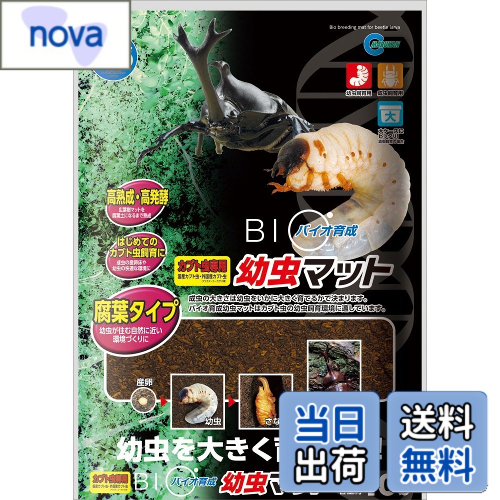 商品情報 商品の説明 商品紹介 高熟成・高発酵!はじめてのカブト虫飼育に最適!成虫の大きさは幼虫をいかに大きく育てるかで決まります。バイオ育成幼虫マットはカブト虫の幼虫飼育環境に適しています。 使用上の注意 本品は昆虫飼育用です。その他の目...