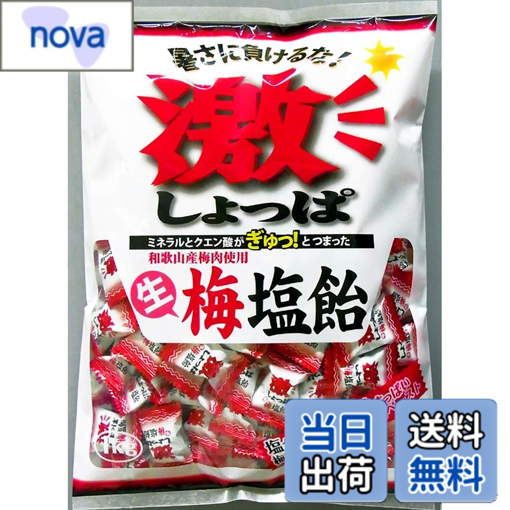 商品情報 商品の説明 主な仕様 梅塩味のキャンディ。塩味の効いた梅肉ペースト入り。熱中症対策にもオススメです。内容量：たっぷり1kg入り。カロリー：100g当たり343kcal # 【送料無料】桃太郎製菓 激しょっぱ生梅塩飴 1kgx1袋入...