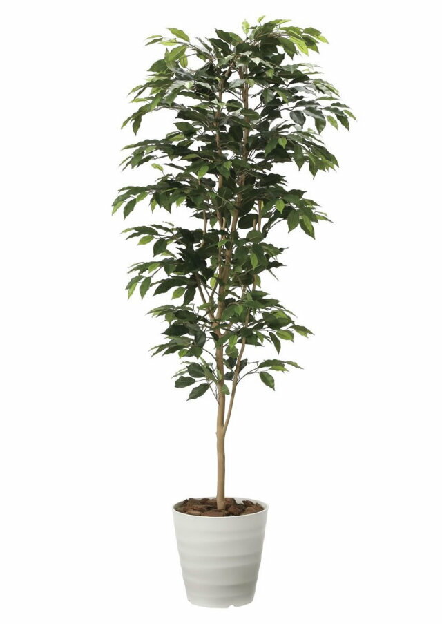 >>>光触媒 観葉植物シリーズはこちら 造花だから、水やり不要でずっと楽しめるインテリア。 室内空間の美しさを引き立たせるグリーンやフラワーは、インテリアの仕上げには欠かせないアイテムです。 光の楽園は水やりの必要がなく衛...