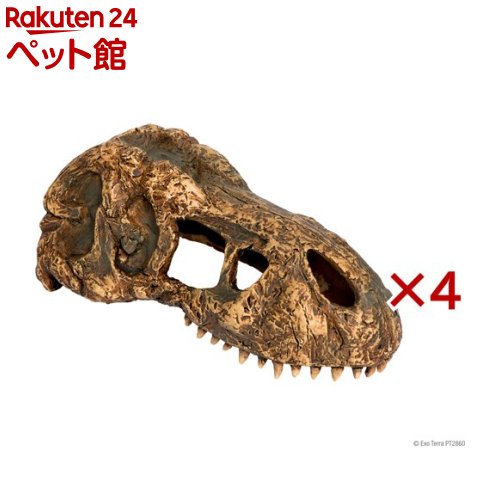 お店TOP＞小動物・鳥・は虫類・昆虫＞は虫類＞エキゾテラ T-REXスカルS PT2860 (4セット)【エキゾテラ T-REXスカルS PT2860の商品詳細】テラリウムのアクセントになる、爬虫類、両生類用のアクセサリーです。 入口が多く...