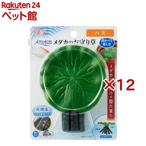 お店TOP＞アクアリウム用品＞水槽＞メダカ水景 メダカのお守り草 ハス (12セット)【メダカ水景 メダカのお守り草 ハスの商品詳細】●メダカ鉢などに浮かべて楽しむ、本物みたいな浮き草●メダカのために日除けや隠れ場所をつくり、メダカを守りま...