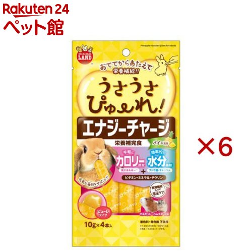 お店TOP＞小動物・鳥・は虫類・昆虫＞小動物のフード＞うさぎのフード＞うさうさぴゅーれ エナジーチャージ パイン風味 (4本入×6セット(1本10g))【うさうさぴゅーれ エナジーチャージ パイン風味の商品詳細】●栄養・水分補給に適したエナ...