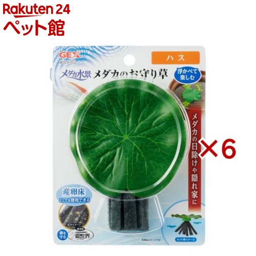 お店TOP＞アクアリウム用品＞水槽＞メダカ水景 メダカのお守り草 ハス (6セット)【メダカ水景 メダカのお守り草 ハスの商品詳細】●メダカ鉢などに浮かべて楽しむ、本物みたいな浮き草●メダカのために日除けや隠れ場所をつくり、メダカを守ります...