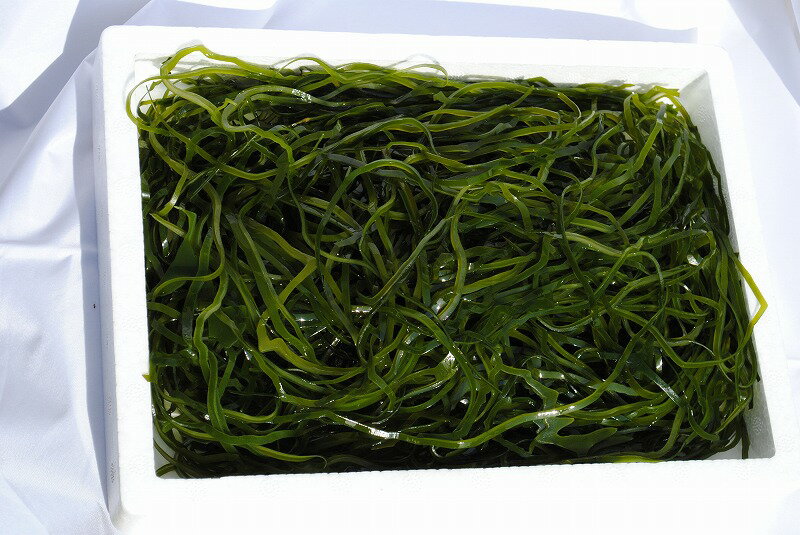 商品の詳細情報 商品名 切昆布 内容量 500グラム 産地 宮城県産 賞味期限 6日間 保存方法 冷蔵 （冷凍保存も可） お客様へお願い 昆布は天然食品のため、収穫状況や天候等により商品の品質に若干の差がございます。 何卒ご了承下さいますよ...