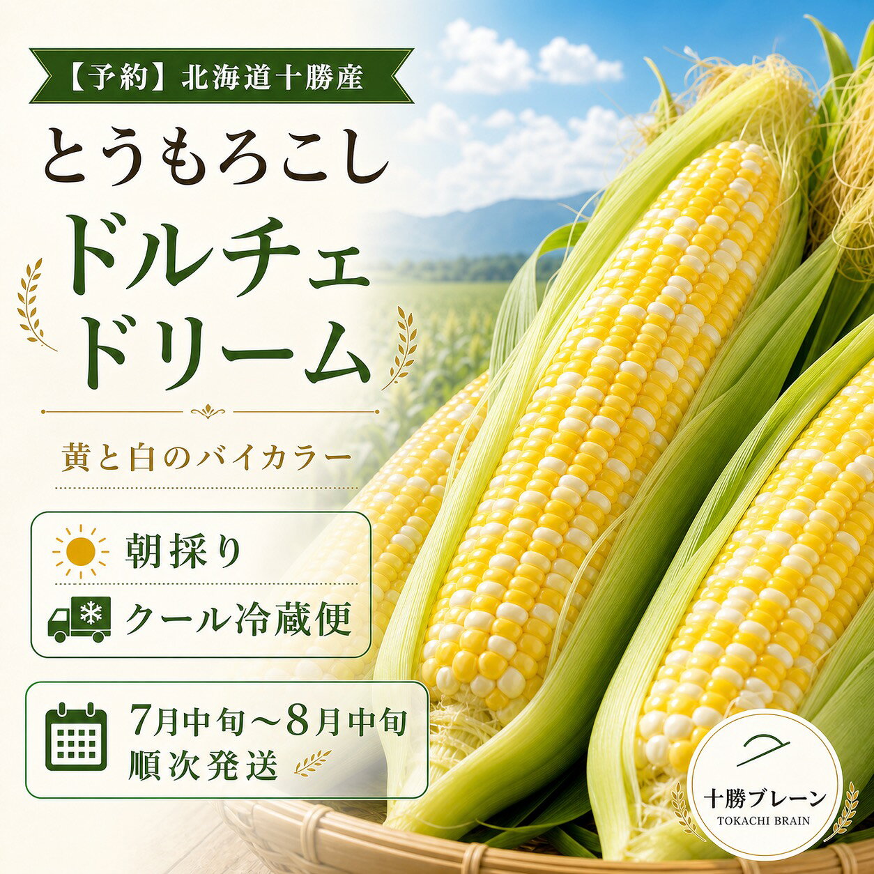 ★2026年度 予約受付中★ 北海道十勝・芽室町 中村農場のとうもろこし 黄と白の粒が華やかな「ドルチェドリーム」 黄と白の粒、夢みたいに甘い。 北海道十勝・芽室町の中村農場で育った、黄色と白の粒が混ざるバイカラースイートコーン「ドルチェド...