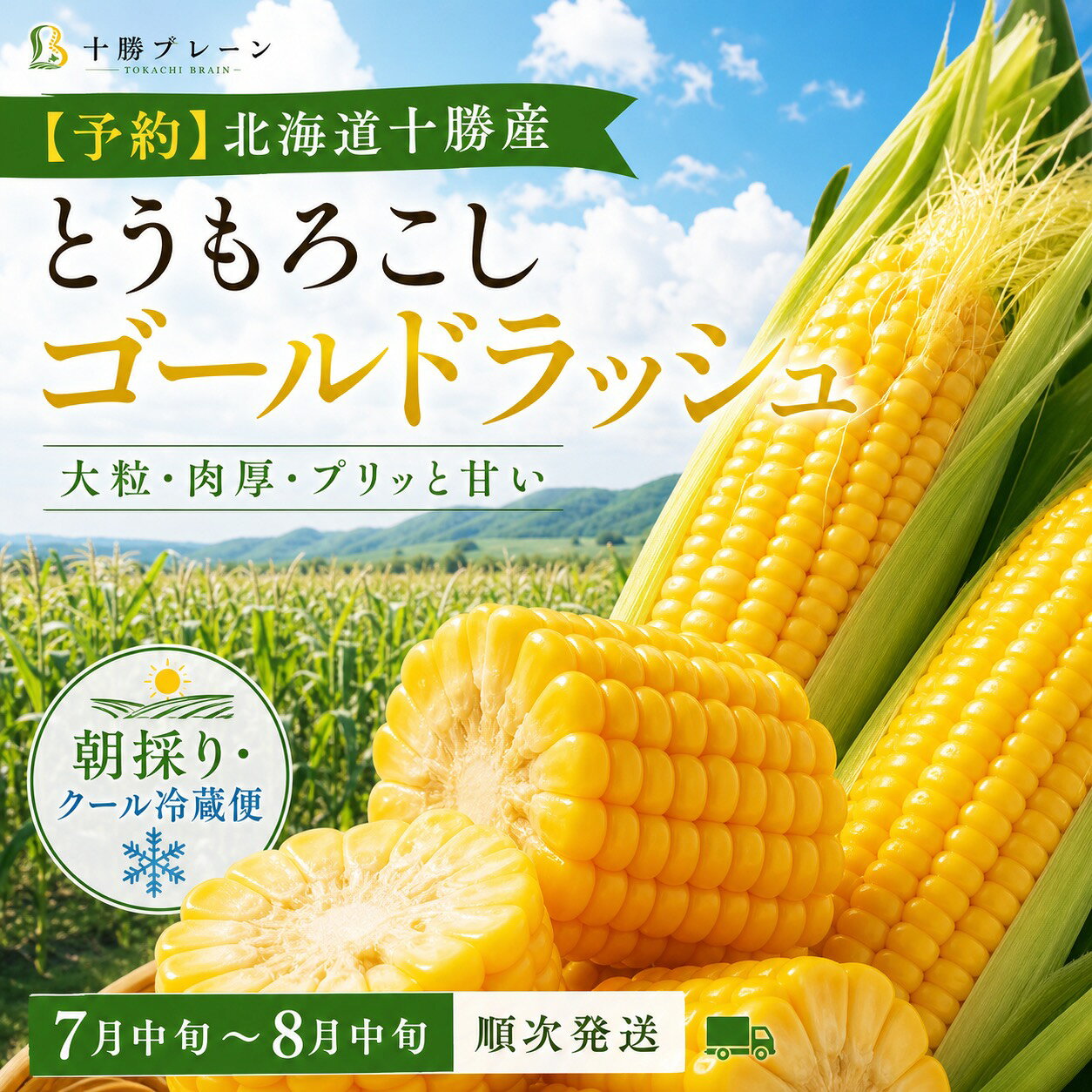 ★2026年度 予約受付中★ 北海道十勝・芽室町 中村農場のとうもろこし 大粒・肉厚・プリッと甘い「ゴールドラッシュ」 粒感しっかり、食べ応えのある甘さ。 北海道十勝・芽室町の中村農場で育った、鮮やかな黄金色とプリッとした粒感が魅力の人気品...