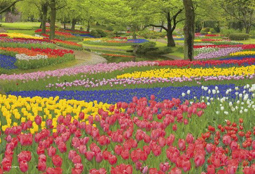 お支払い方法・送料・配送について 予約販売商品についてパネルサイズ別はこちら 10×14.7cm(No.1-T) 18.2×25.7cm (1-ボ / No.64) 18.2×51.5cm(3-P / No.71) 26×38cm(3 / ...