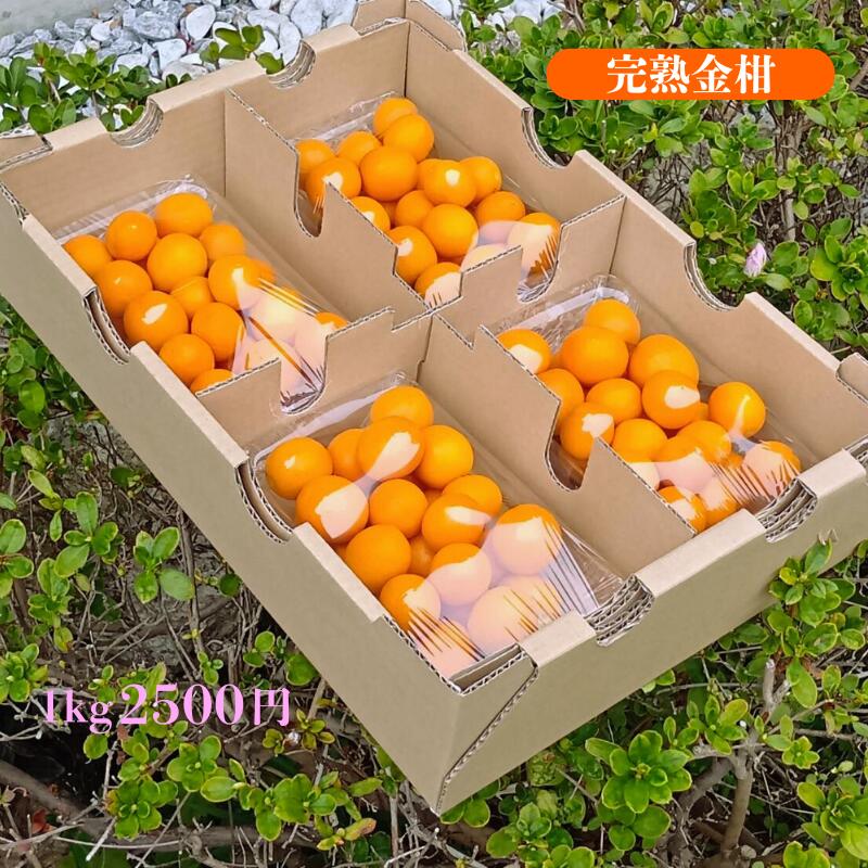 完熟金柑　愛知県産 1kg ギフト用におすすめ わが家のすこやかな金柑、お譲りいたします 農薬を一切使わずに、無化学肥料の状態で栽培された完熟状態の金柑です。ぜひご賞味ください。 5
