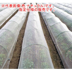 この商品と関連のある商品【法人のみ】【営業所留め可】防虫ネット(防虫網) サンサンネット EX2000 0.9x100m 目合1mm 透光率90% ナチュラル【法人のみ】【営業所留め可】防虫ネット(防虫網) サンサンネット EX2000 1...