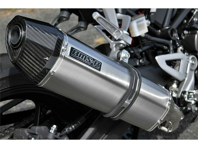 CORSA-EVOII ステンレス スリップオン対応車種 : CB250R車両型式 : 8BK-MC52品番 : G1007-64-P6JJANコード : 4582285347248重量 : 2.9kg【純正5.25kg】音量 : 92.0...