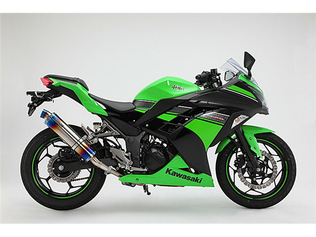 R-EVO ヒートチタン スリップオン対応車種 : Ninja250：2013〜2017車両型式 : JBK-EX250L品番 : D415-53-P1SJANコード : 4582285337454重量 : 2.0kg【STD 3.8kg】...