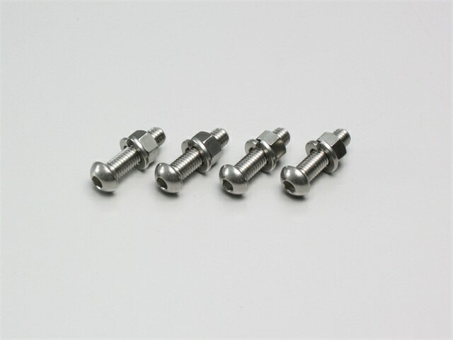 メーカー名 : HARRICANE ハリケーンメーカー品番 : HN3830SJANコード : 4936887522600商品名 : M8ステンレス ボタンボルト主な適合車種 : L30mm 4本※詳しくはメーカーホームページにてご確認くだ...