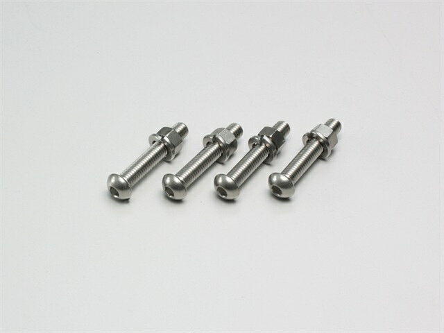 メーカー名 : HARRICANE ハリケーンメーカー品番 : HN3845SJANコード : 4936887522907商品名 : M8ステンレス ボタンボルト主な適合車種 : L45mm 4本※詳しくはメーカーホームページにてご確認くだ...