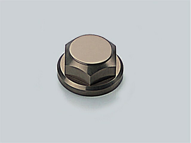 メーカー名 : HARRICANE ハリケーンメーカー品番 : HT0808TJANコード : 4936887294514商品名 : ステムナット主な適合車種 : ZZR1100(-92 C型) マジェスティ250(-01)カラー : チタ...