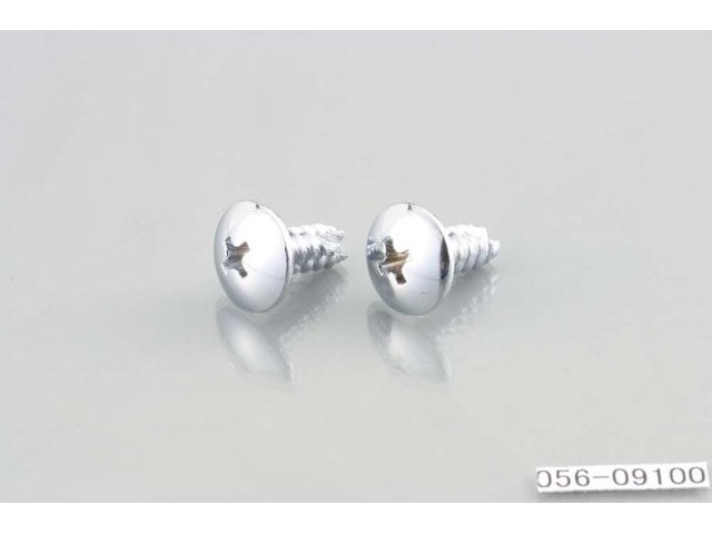 ※画像はイメージの場合がございます。※必ずメーカーホームページをご確認ください。M5X12mm/シルバークロームメッキ/2種溝付/2ヶ商品説明●2種（先の尖っていない）タッピングビス。●スチール製●K・CONクリップナットのビスとしても使用...