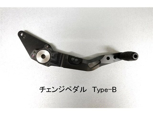 STRIKER ストライカー ステップキット リペアパーツ チェンジペダルType-B SS-R9706B0BCメーカー名 : STRIKER ストライカーメーカー品番 : SS-R9706B0BCJANコード : 458036391152...