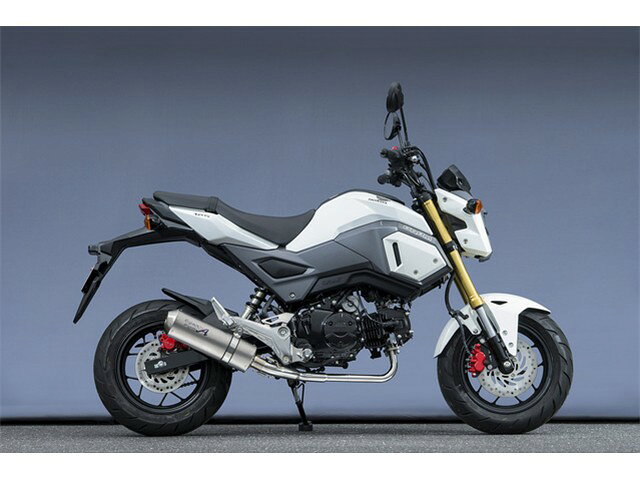 素材/レイアウト : SUSサイレンサー : オーバル コーン音量 : 89db/3500rpm重量 : 1.8kg（STD4.8kg）仕様 : ドレン○　 エレメント○　 JMCA認証排ガス規制対応/認証制度適合適合年式　2016年　JC...