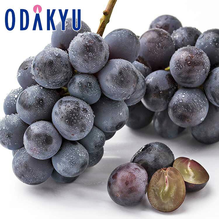 重さ：約0.8kg 内容：山梨県御坂地区限定種無しピオーネ（1房約410g以上）×2房【商品特長】 【御坂地区から届く種無しピオーネ】山梨県御坂地区は、山梨県内でも果物づくりが盛んな地域です。日照に恵まれた甲府盆地の気候の中で、桃やぶどうが...