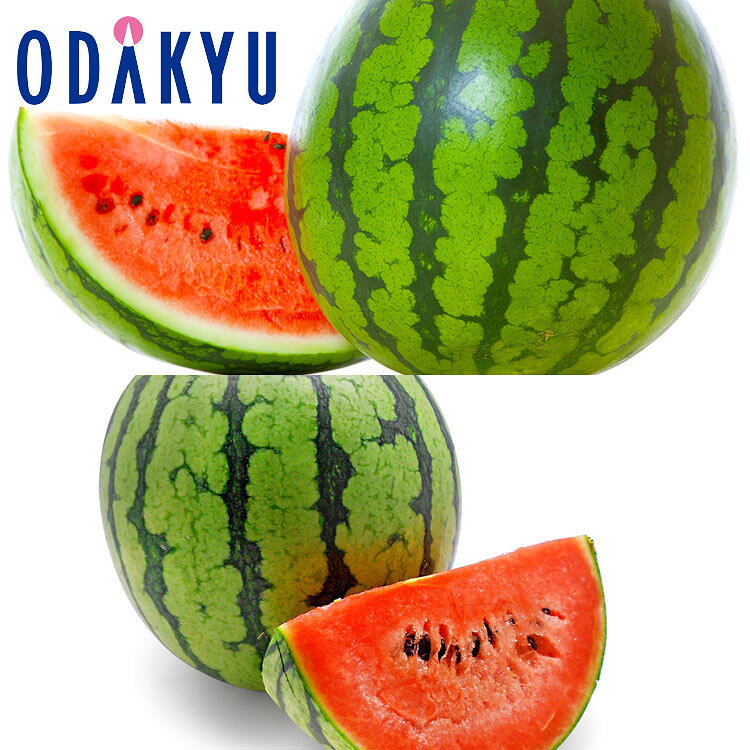 賞味期限：冷暗所で保存し、お早めにお召しがりください 産地：すいか：山形県小玉スイカ：山形県他 重さ：約4.5kg 等級：秀 内容：山形県産スイカ（2L）×1玉山形県産他「紅小玉スイカ」×1玉【商品特長】 「すいか」と「紅小玉スイカ」は、同...
