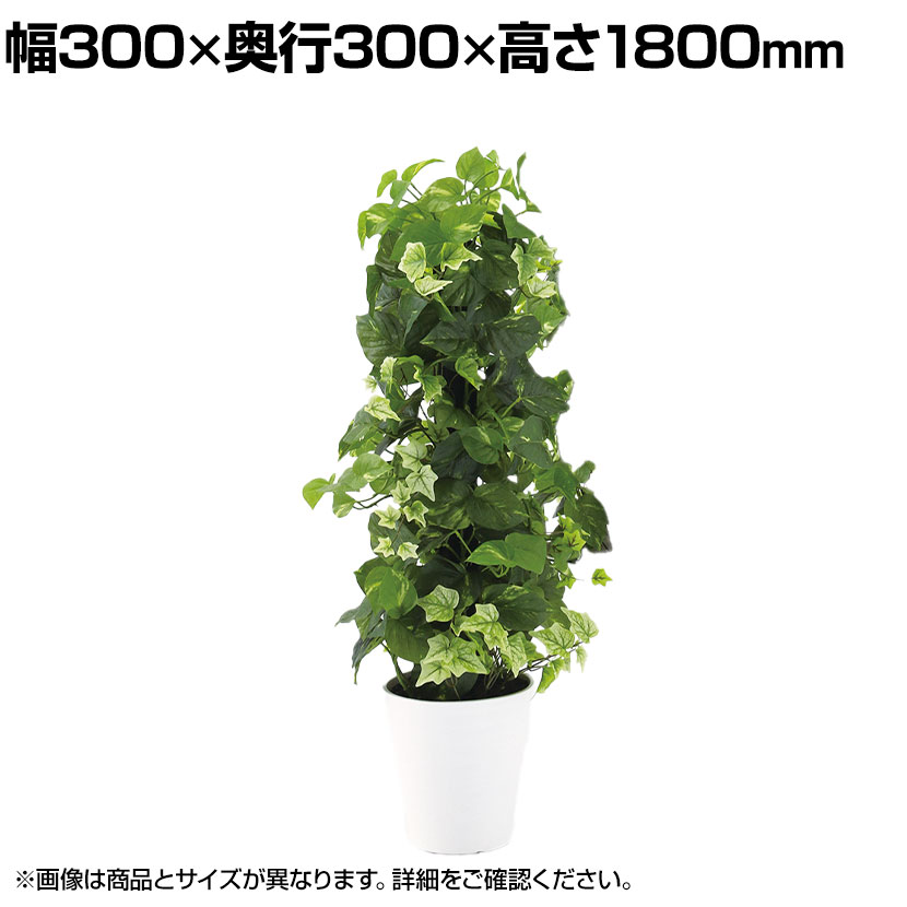 観葉植物 人工樹木 フェイクグリーン 造花 MIXヘゴ グリーン/ライム 高さ1800mm 鉢:SA-10(WH) ポトスとライムアイビーを組み合わせました。 商品について サイズ(本体)外寸 / 幅300×奥行300×高さ1800mm鉢 ...